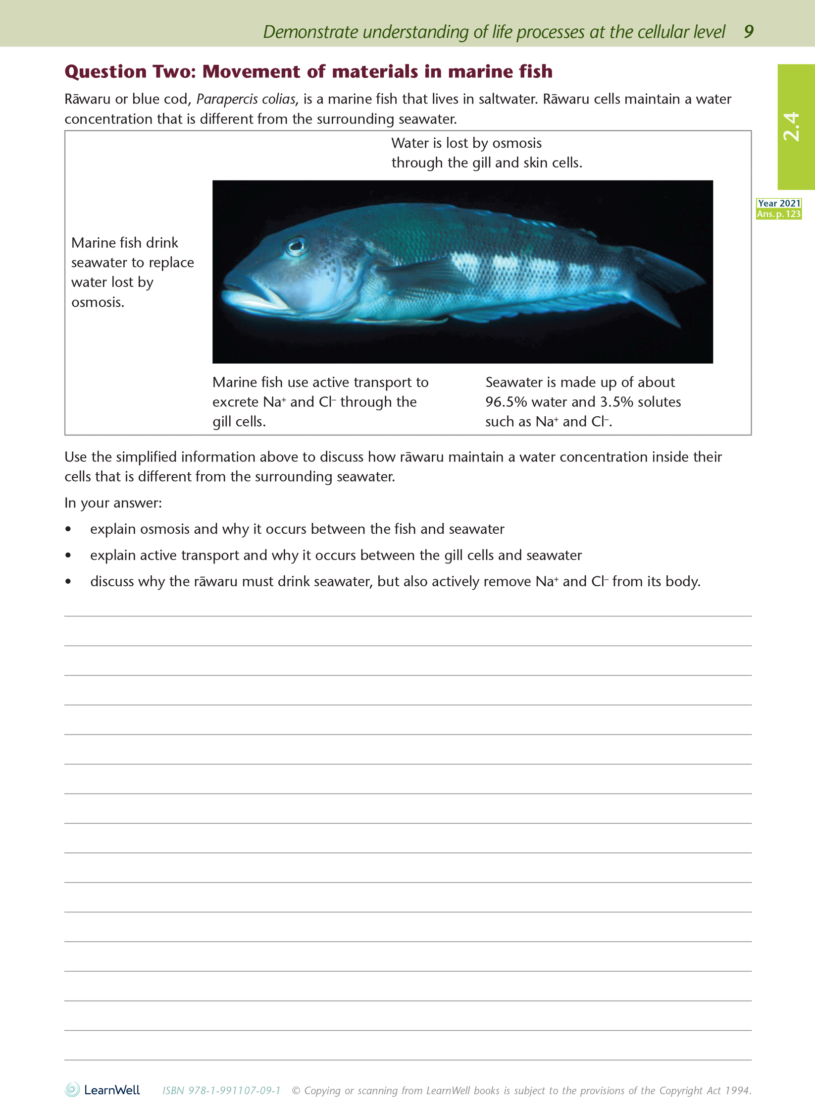 Level 2 Biology AME Workbook - LearnWell