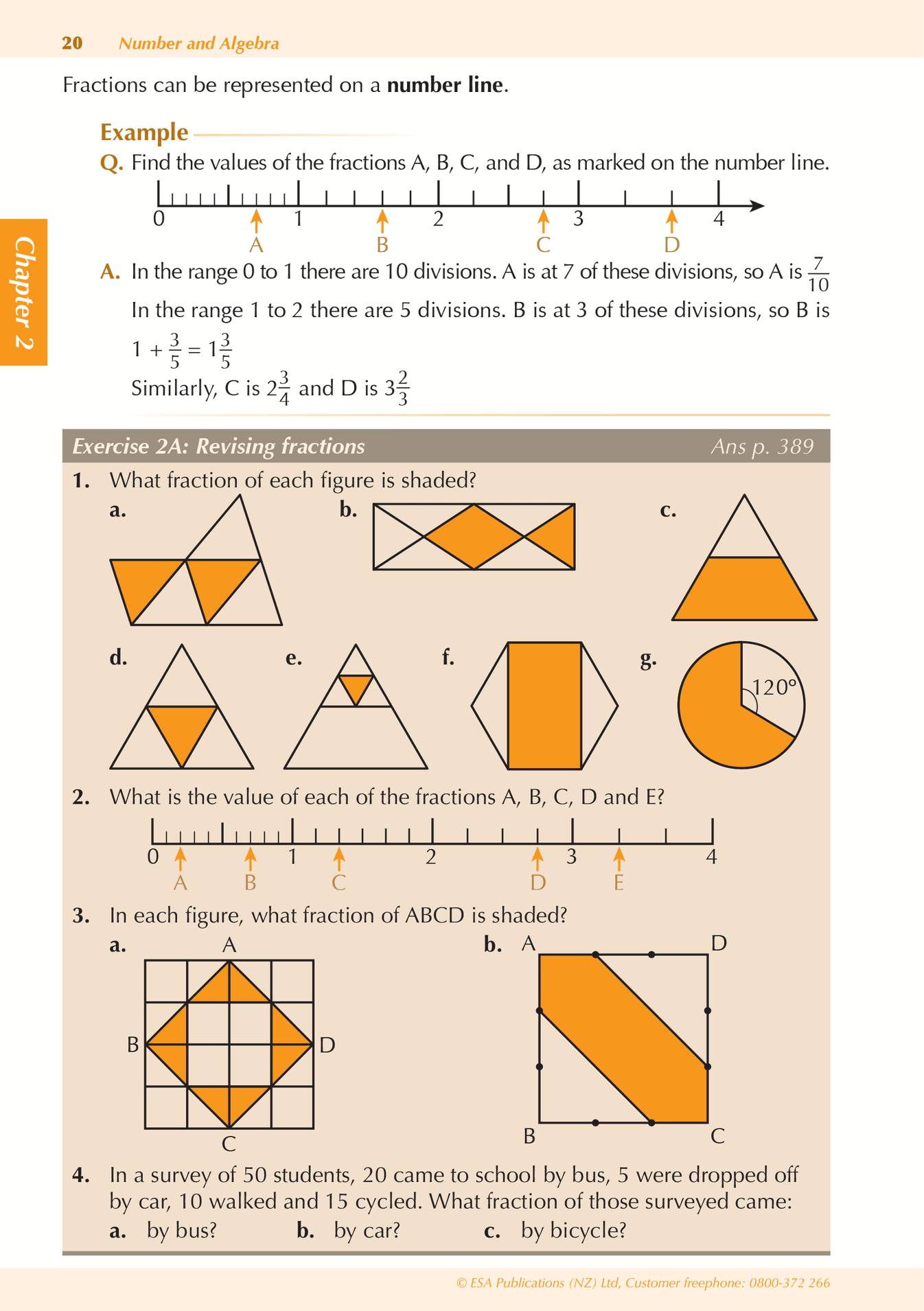 Year 10 Mathematics and Statistics ESA Study Guide - LearnWell
